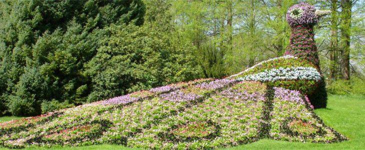 Tourisme Ile de Mainau lac de Constance le Bodensee en Allemagne